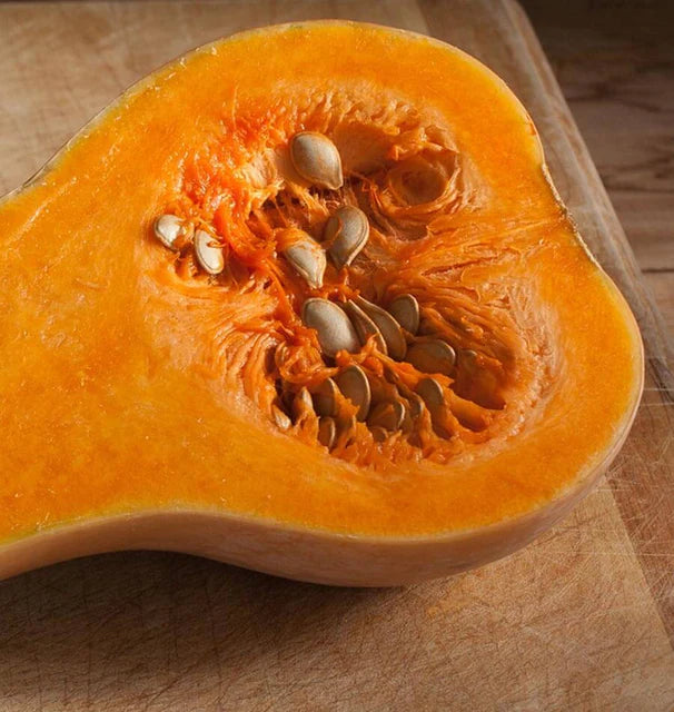 SQ761 Butternut Squash Waltham – Hydro-Lite Hydroponics