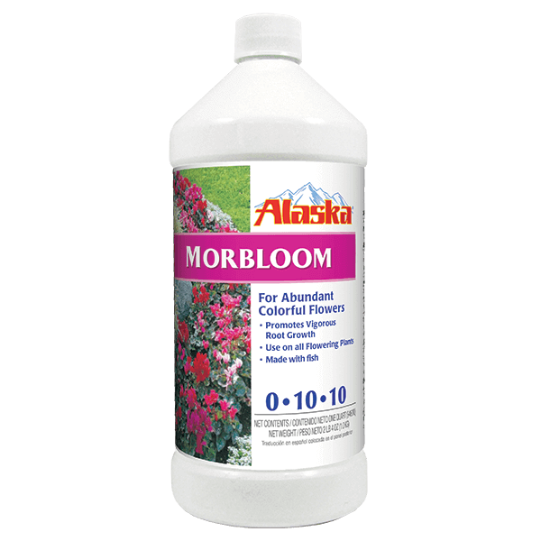 Alaska Morbloom – Hydro-Lite Hydroponics