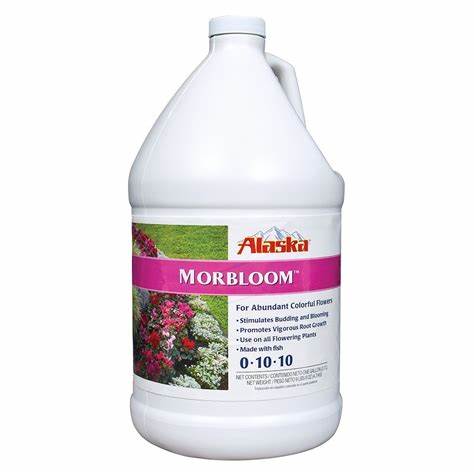 Alaska Morbloom – Hydro-Lite Hydroponics