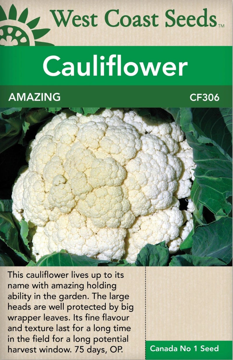 CF306 Cauliflower Amazing – Hydro-Lite Hydroponics